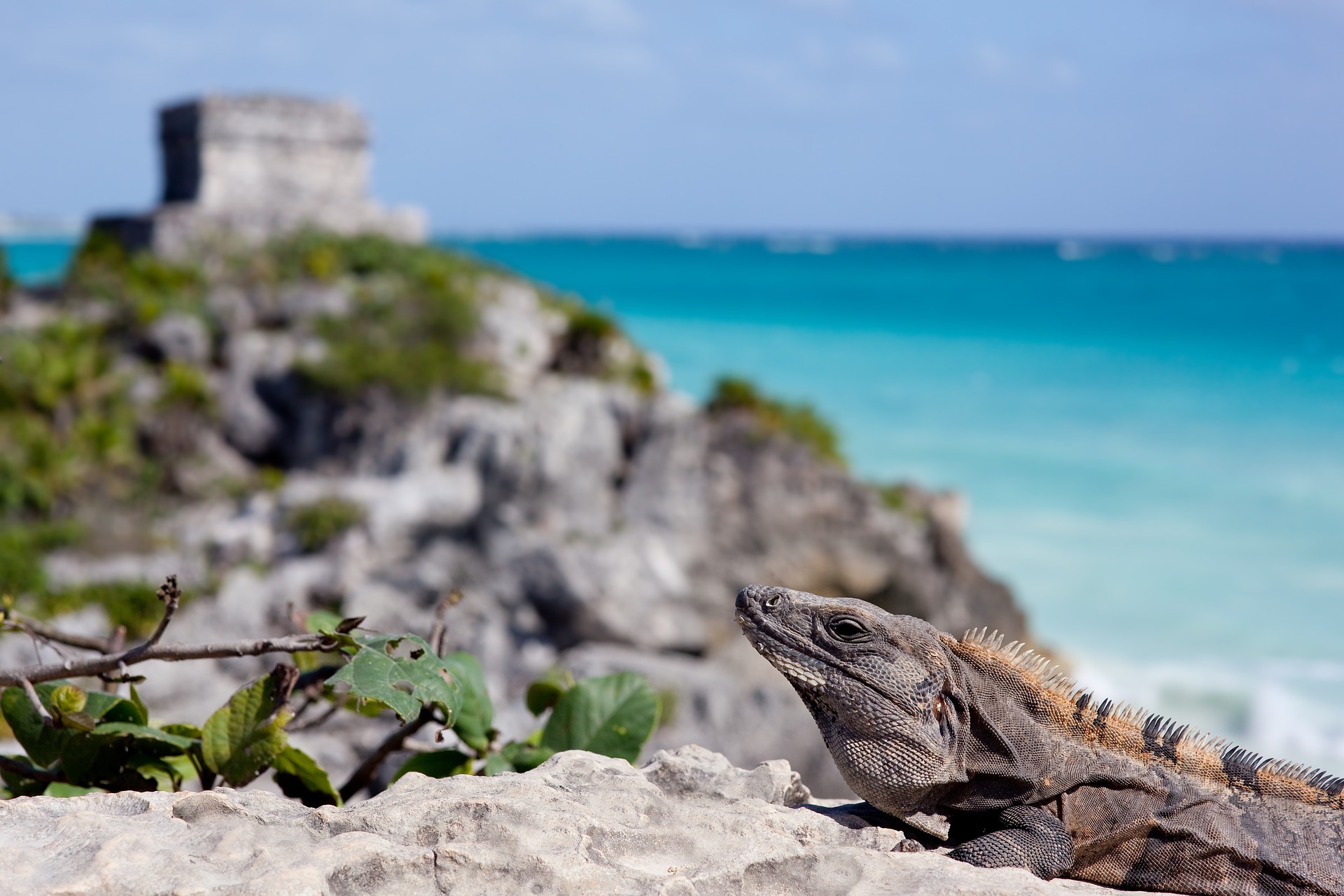Tulum 4x1 - Soy Cancun - Agencia para Brasileiros| Passeios em Cancún